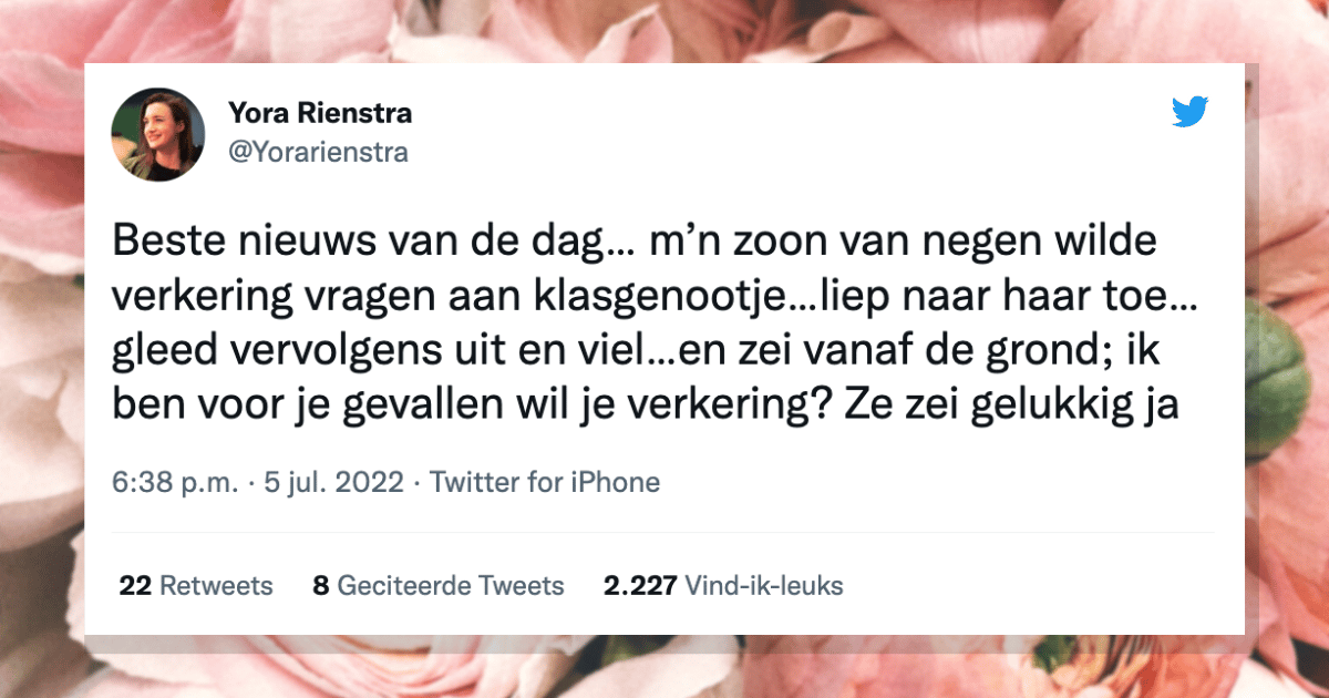 Wil je misschien verkering? - DIWMOSMZ