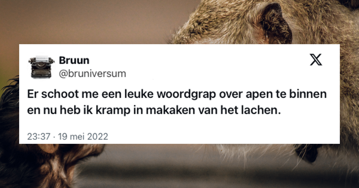 Taalhumor ten top: hilarische woordgrapjes - DIWMOSMZ
