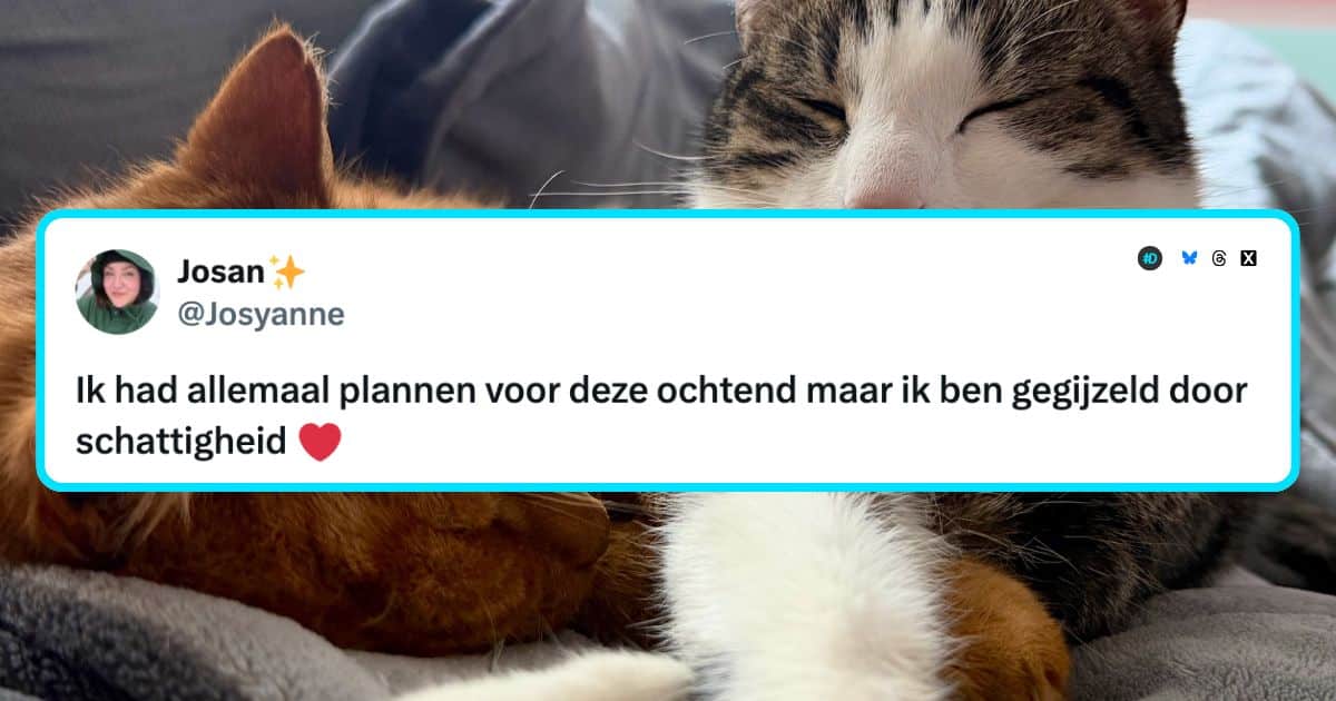 Woordgrappen die je dag maken! - DIWMOSMZ